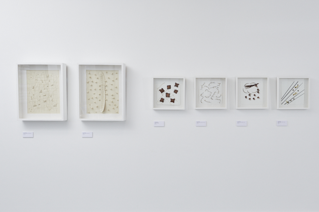 Fragile Nature: from control to freedom - GroundWork