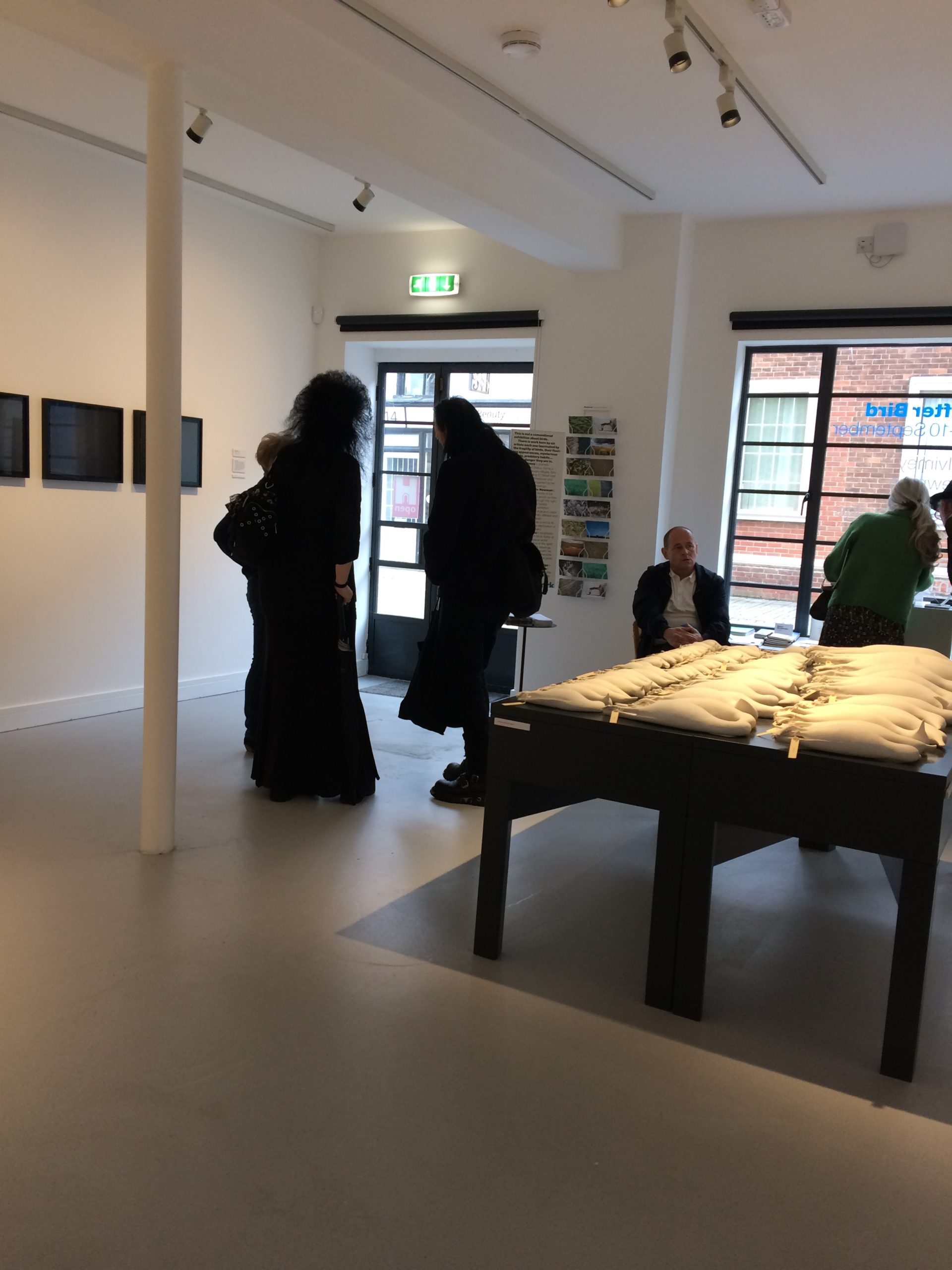 Bird after Bird - GroundWork