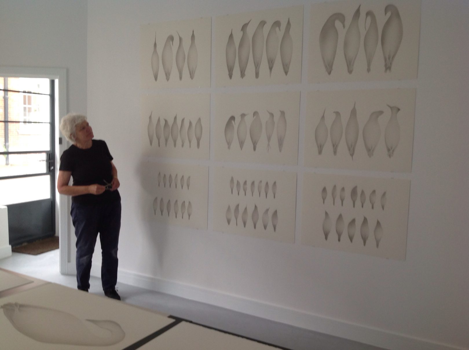 Bird after Bird - GroundWork