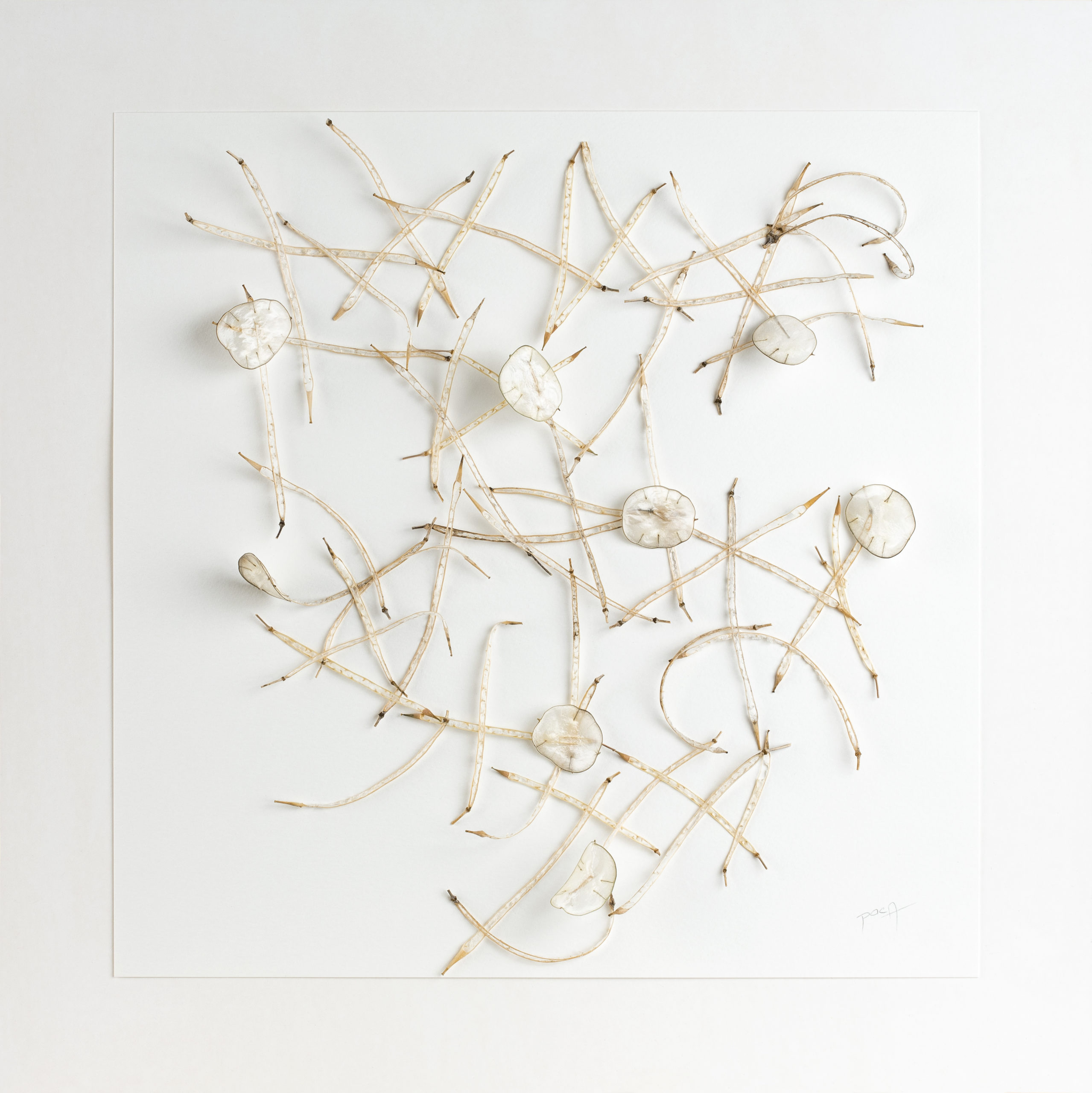 Fragile Nature: from control to freedom - GroundWork