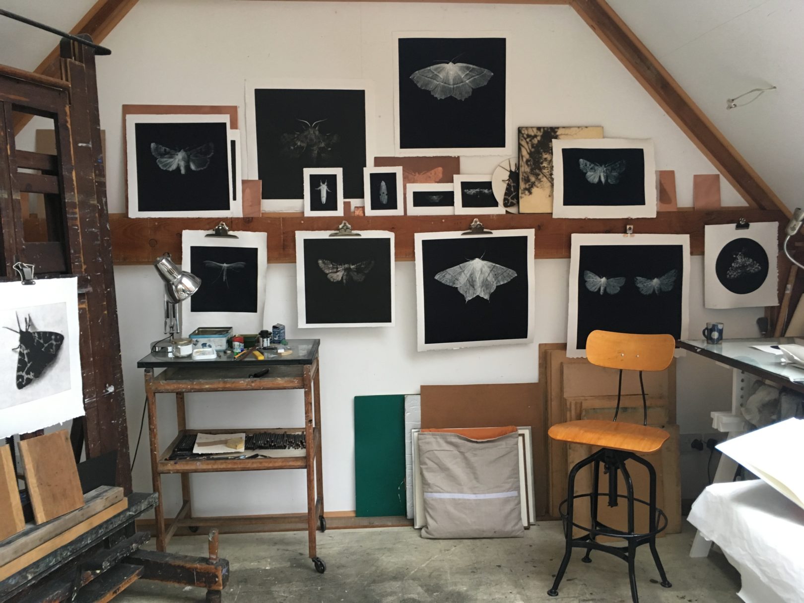 Sarah Gillespie - GroundWork