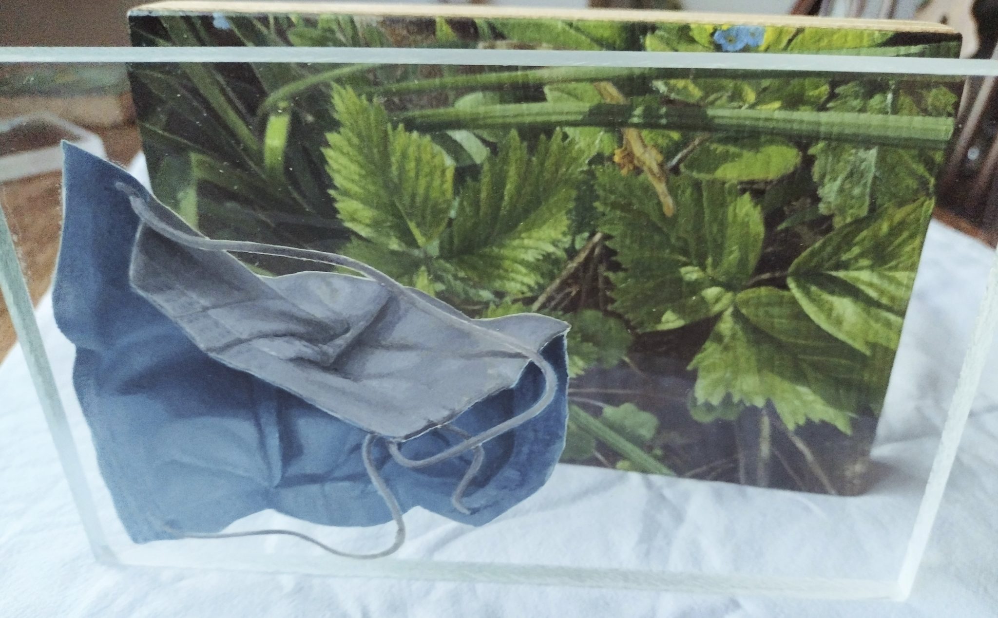 Plant Power - GroundWork