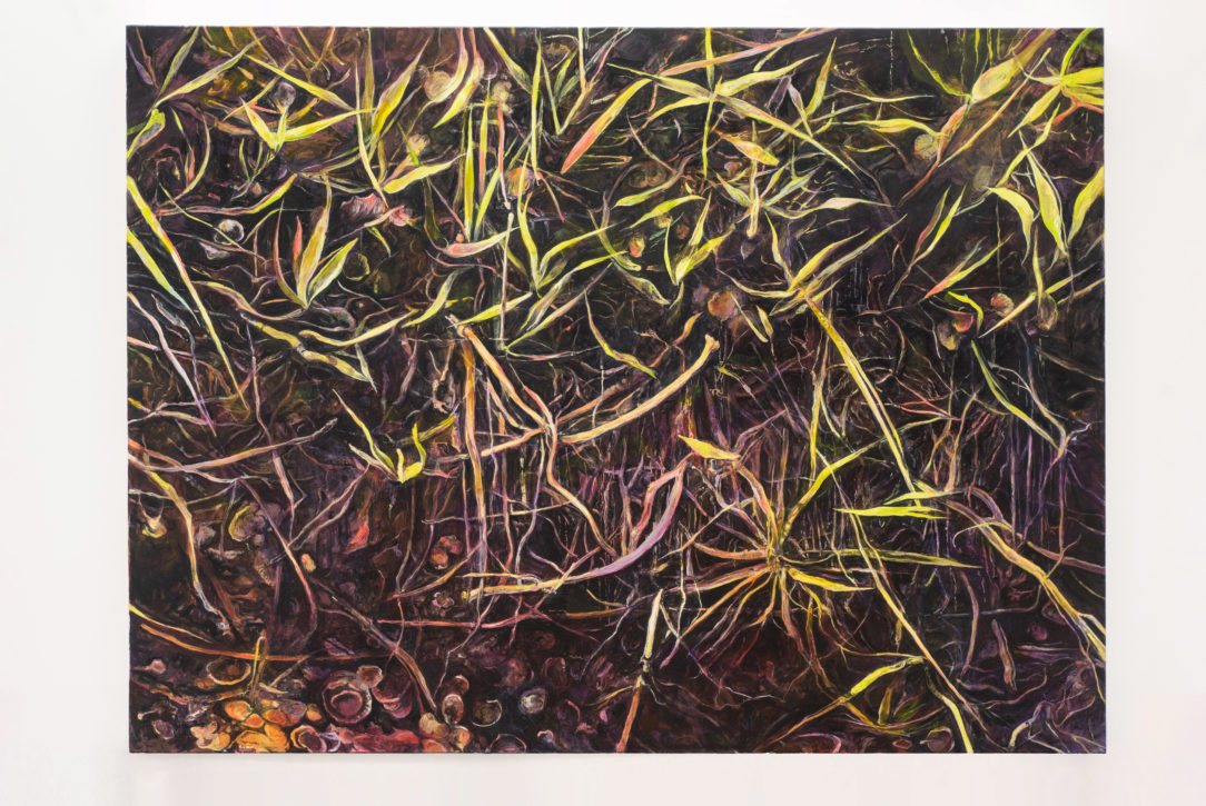 Plant Power - GroundWork