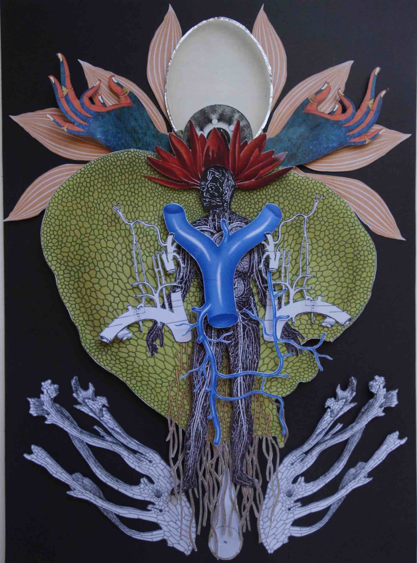 Plant Power - GroundWork