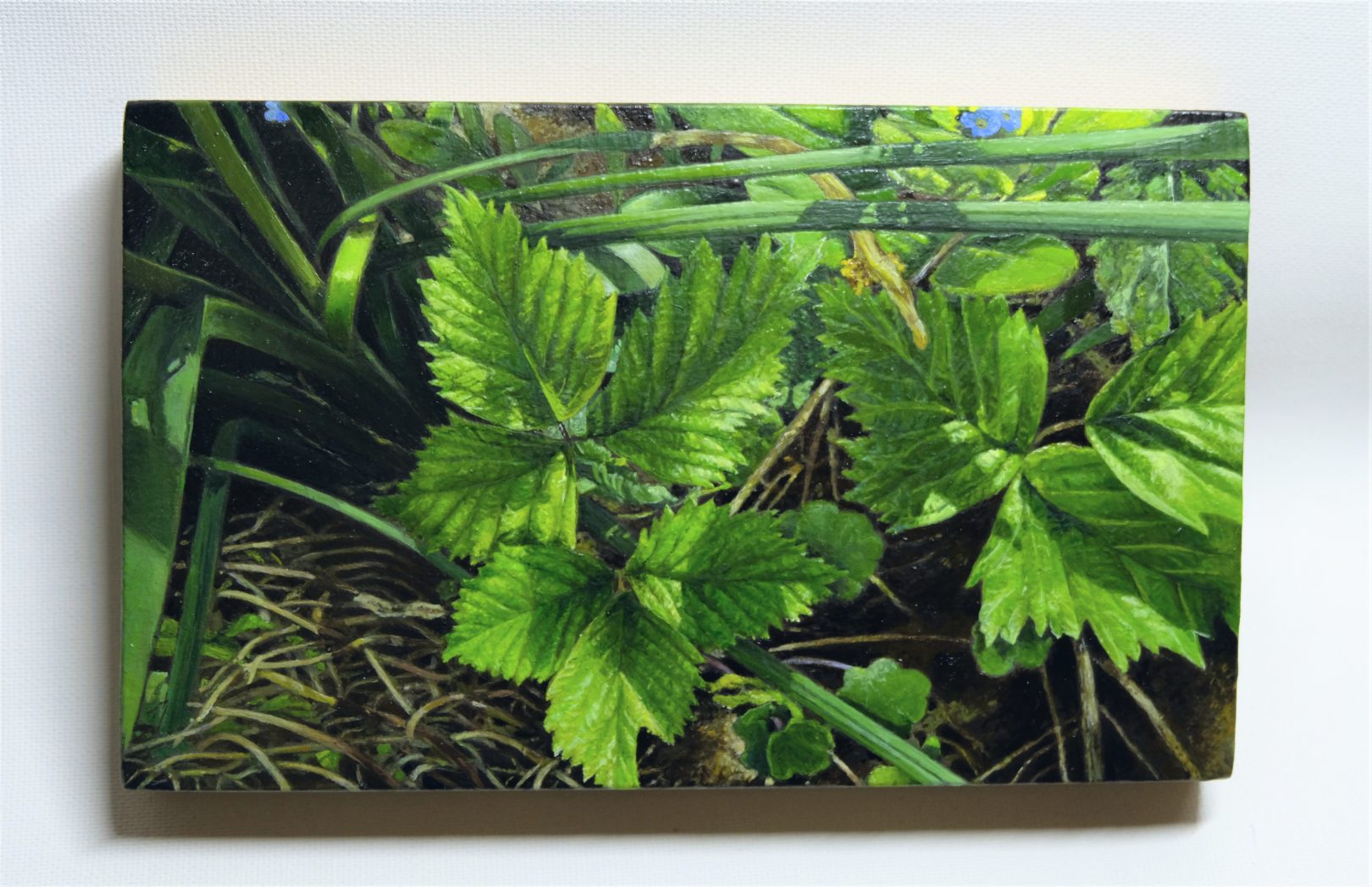 Plant Power - GroundWork