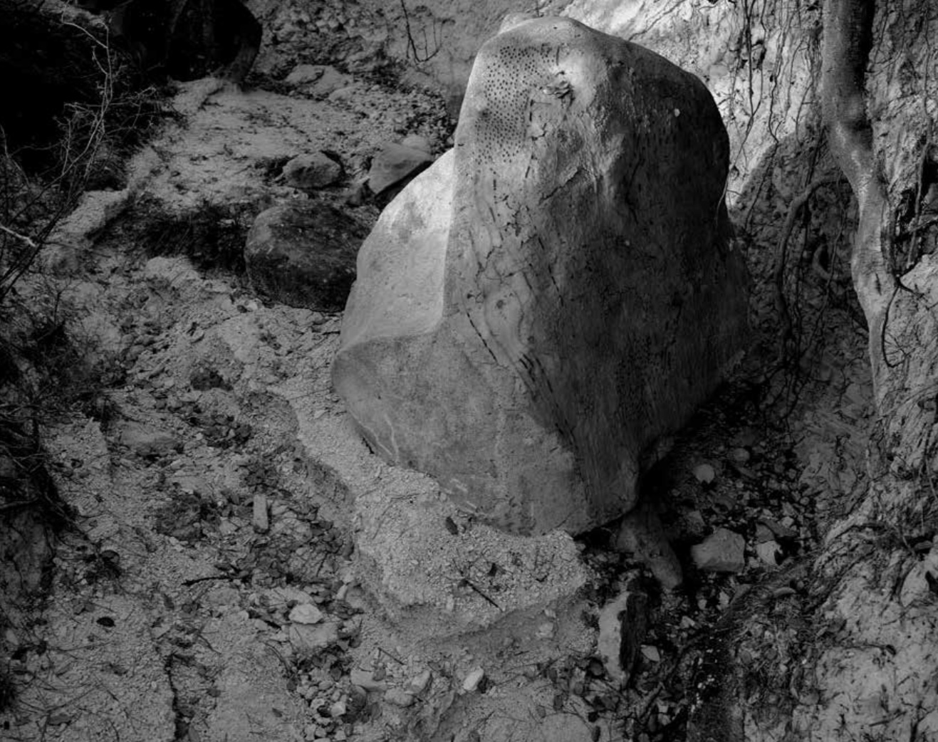 Art for the Environment - GroundWork