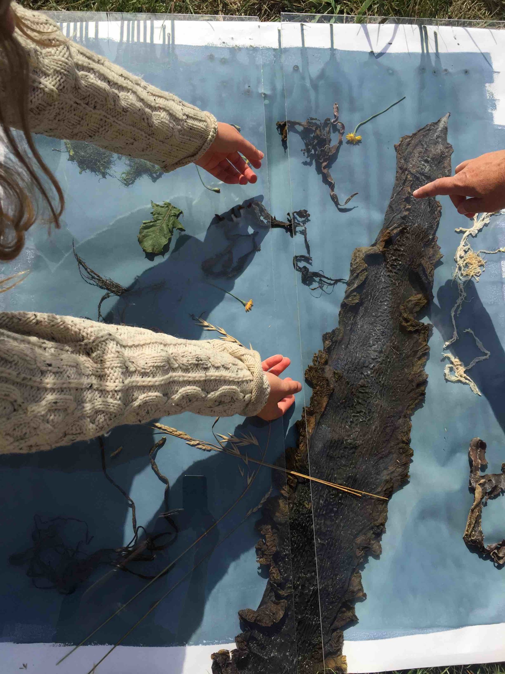 Art for the Environment - GroundWork