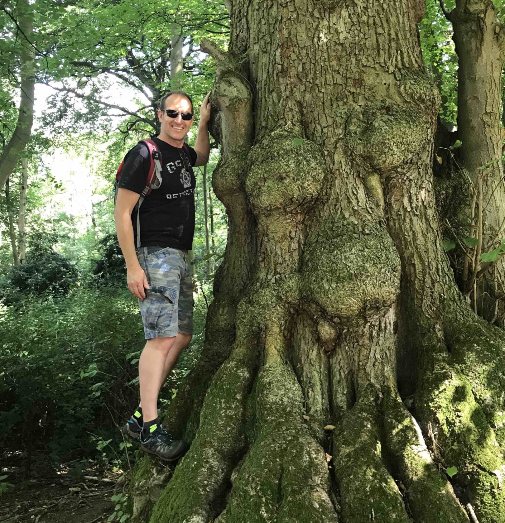 Sensing Trees - GroundWork