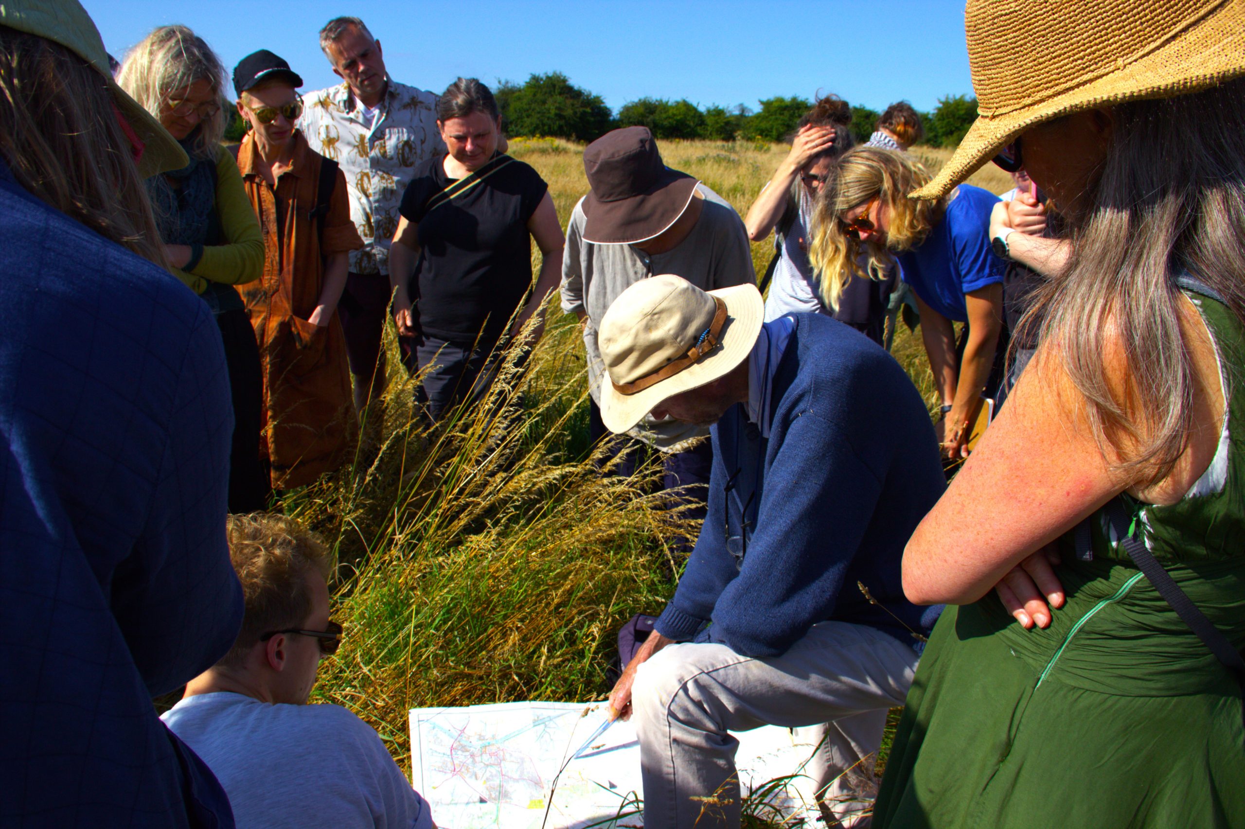 Tim Holt-Wilson - GroundWork