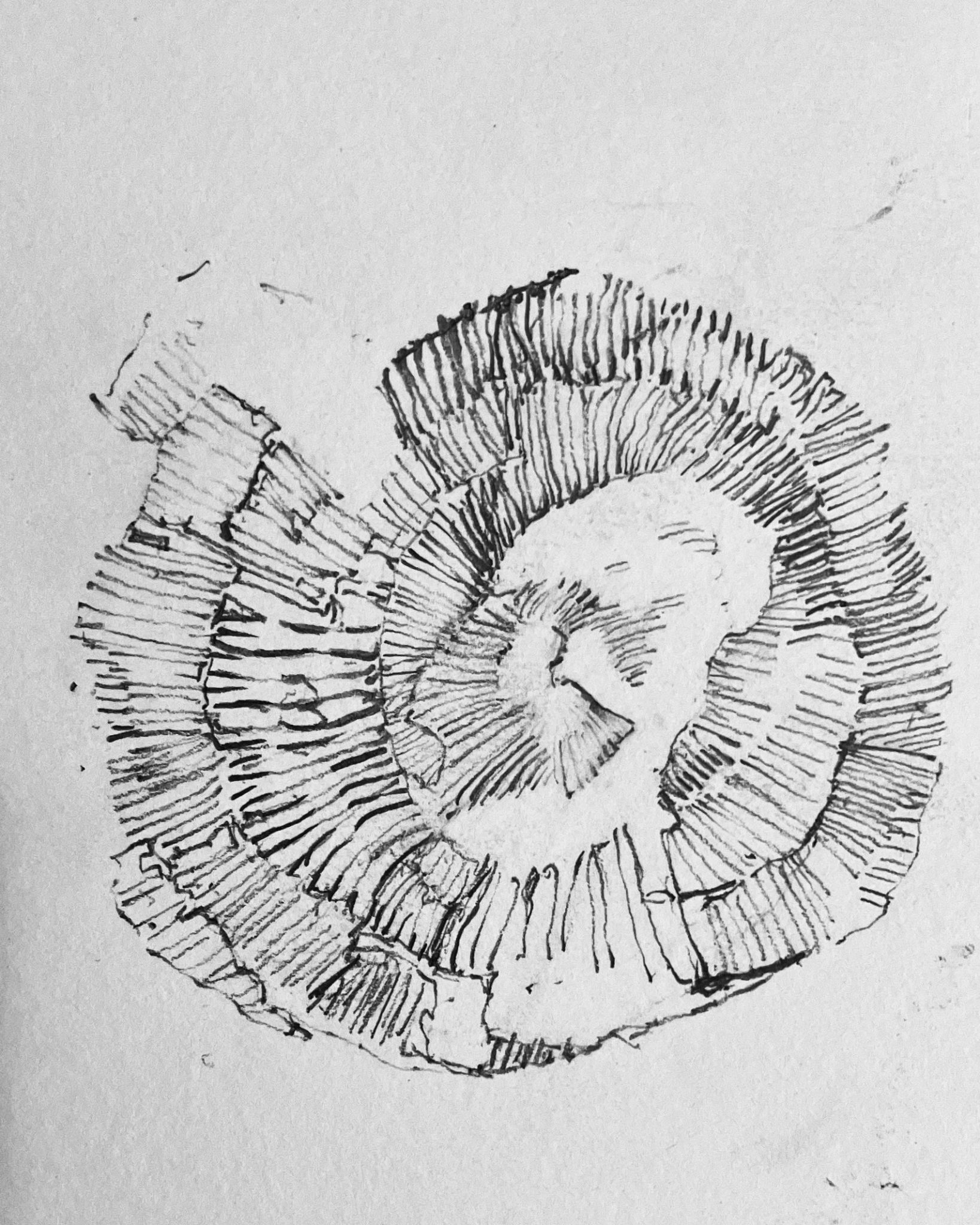 Ground Up - GroundWork