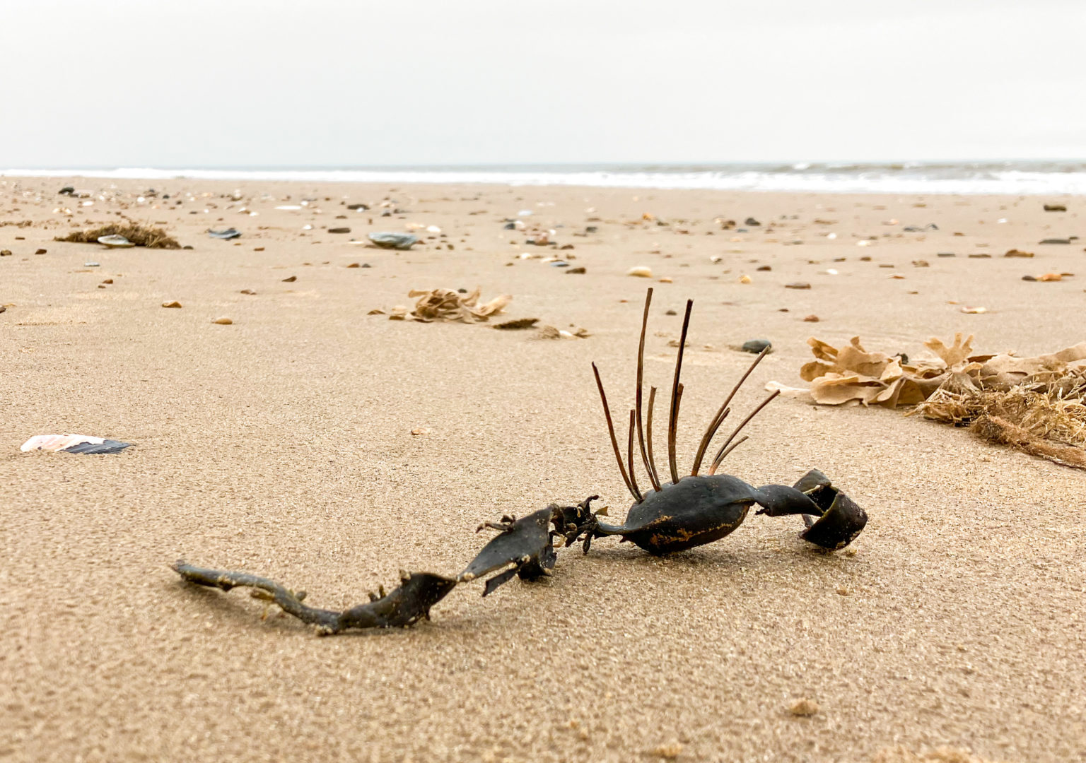 Kathryn Parsons - GroundWork