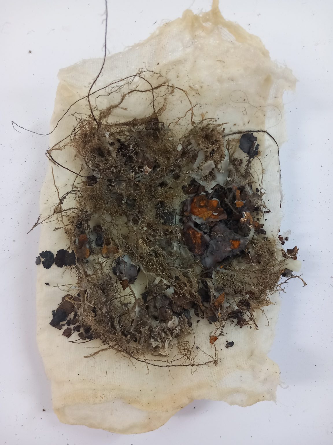 Ground Up - GroundWork