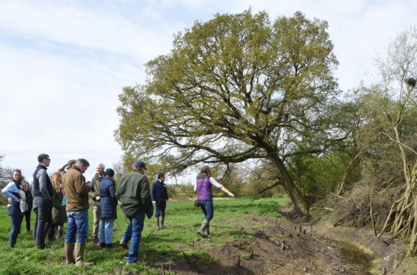 Norfolk Rivers Trust - GroundWork