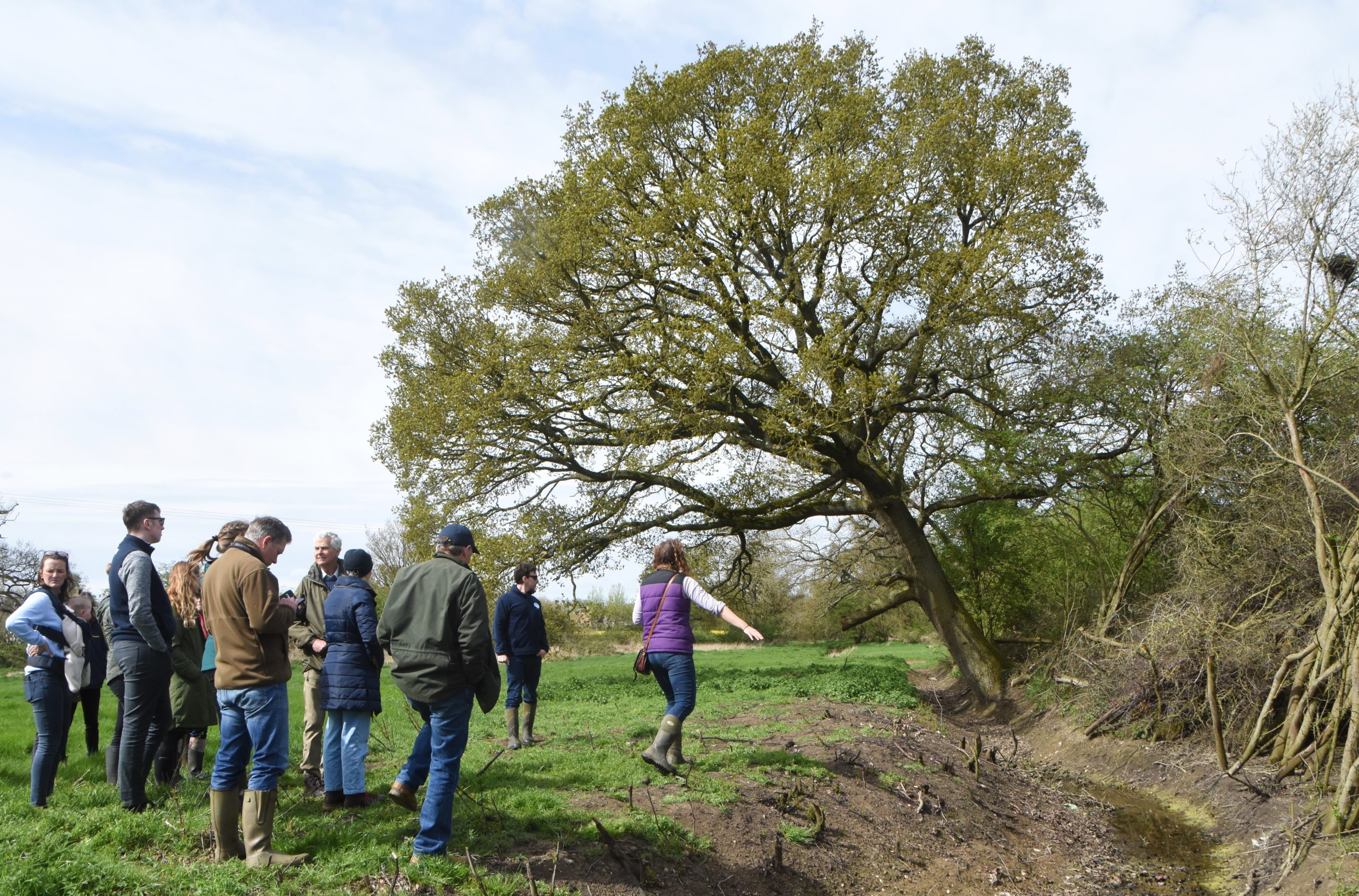 Norfolk Rivers Trust - GroundWork