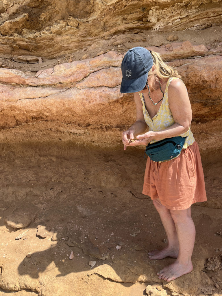 Caroline Forward - GroundWork