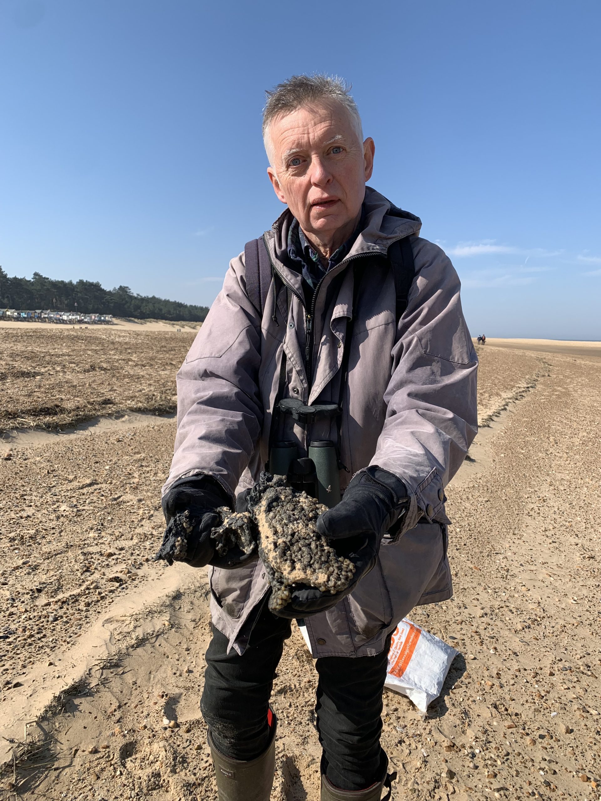 Chris Rose - GroundWork