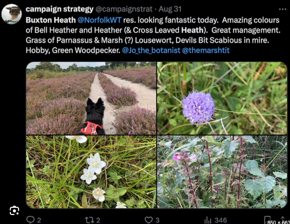 Chris Rose - GroundWork