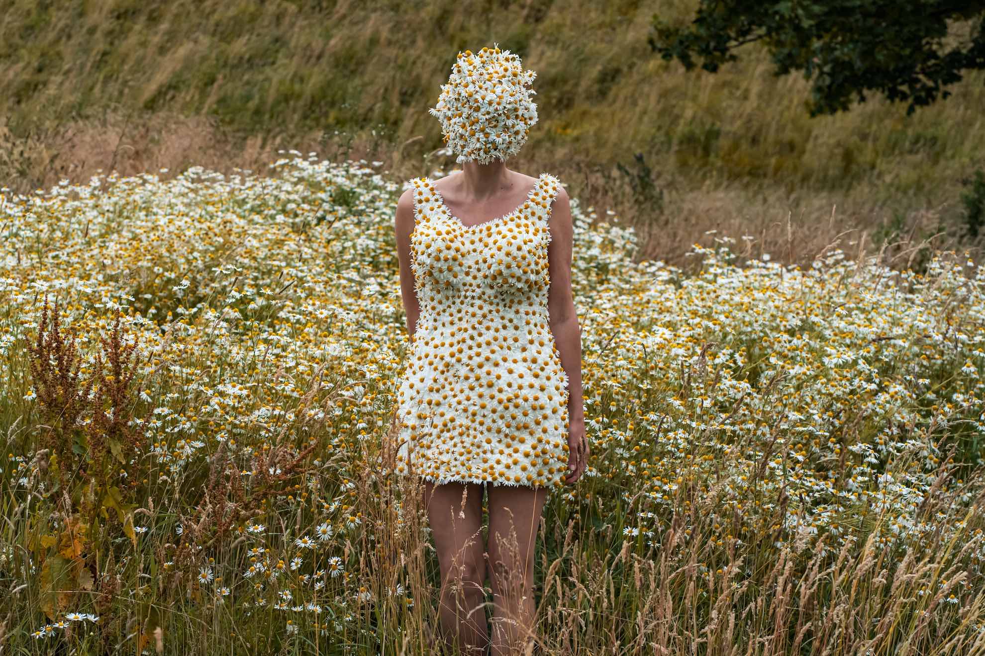 Olana Light - GroundWork